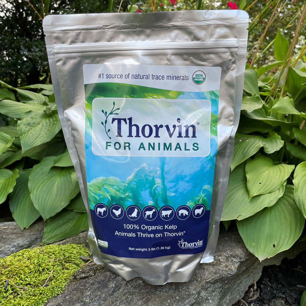 Thorvin for Animals kelp meal organic feed supplement – Easy Organic